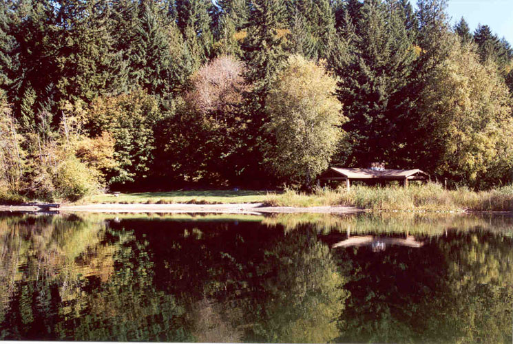 ampmbeach | Sudden Valley Community Association